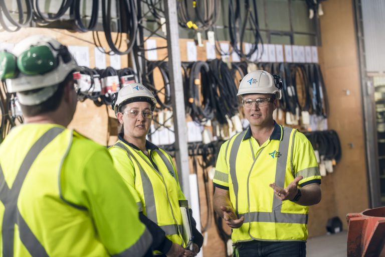 Economic contribution of the SA Forestry industry in 2019-20 – Green ...