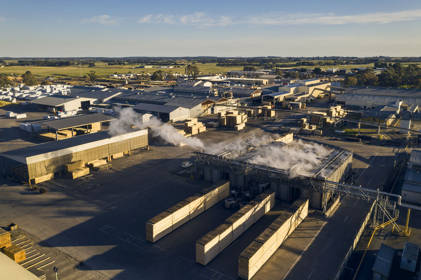 Economic contribution of the SA Forestry industry in 2019-20 – Green ...